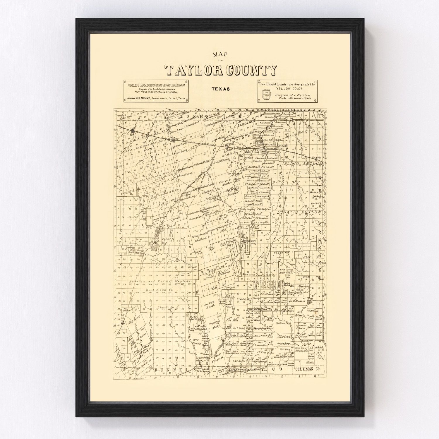 Vintage Map of Taylor County, Texas 1890