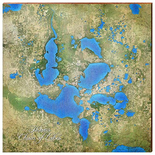 Harris Chain of Lakes, Florida Map Home Decor Art Print on Real Wood