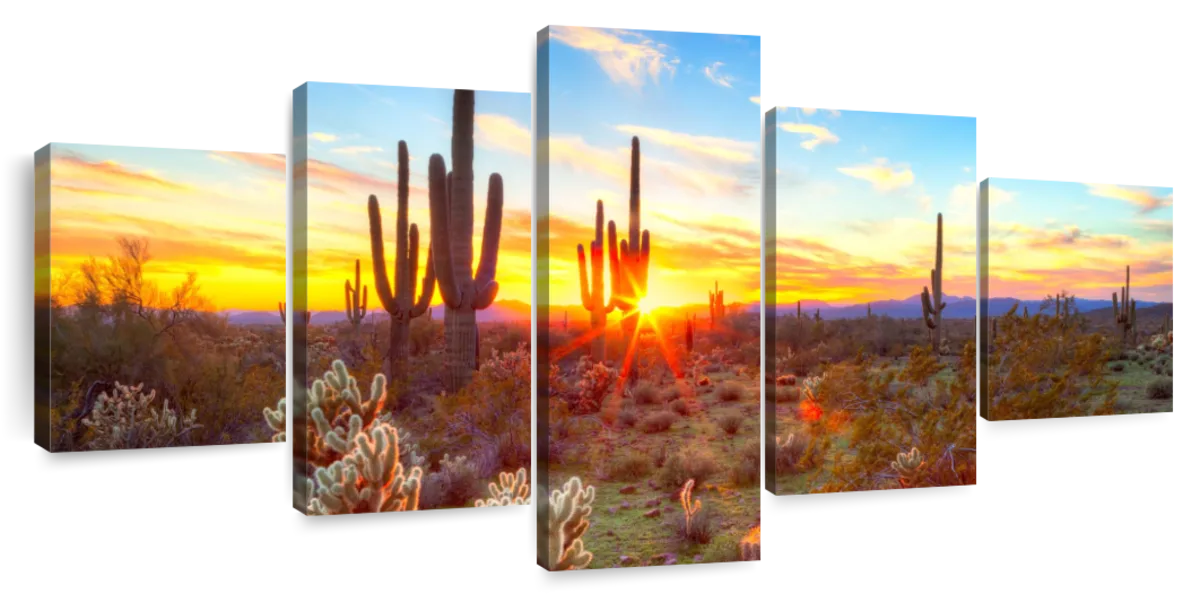 Desert Cactus Sun Ray Wall Art