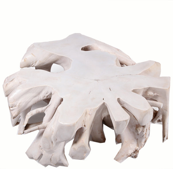 Z-Round White Teak Root Coffee Table 14