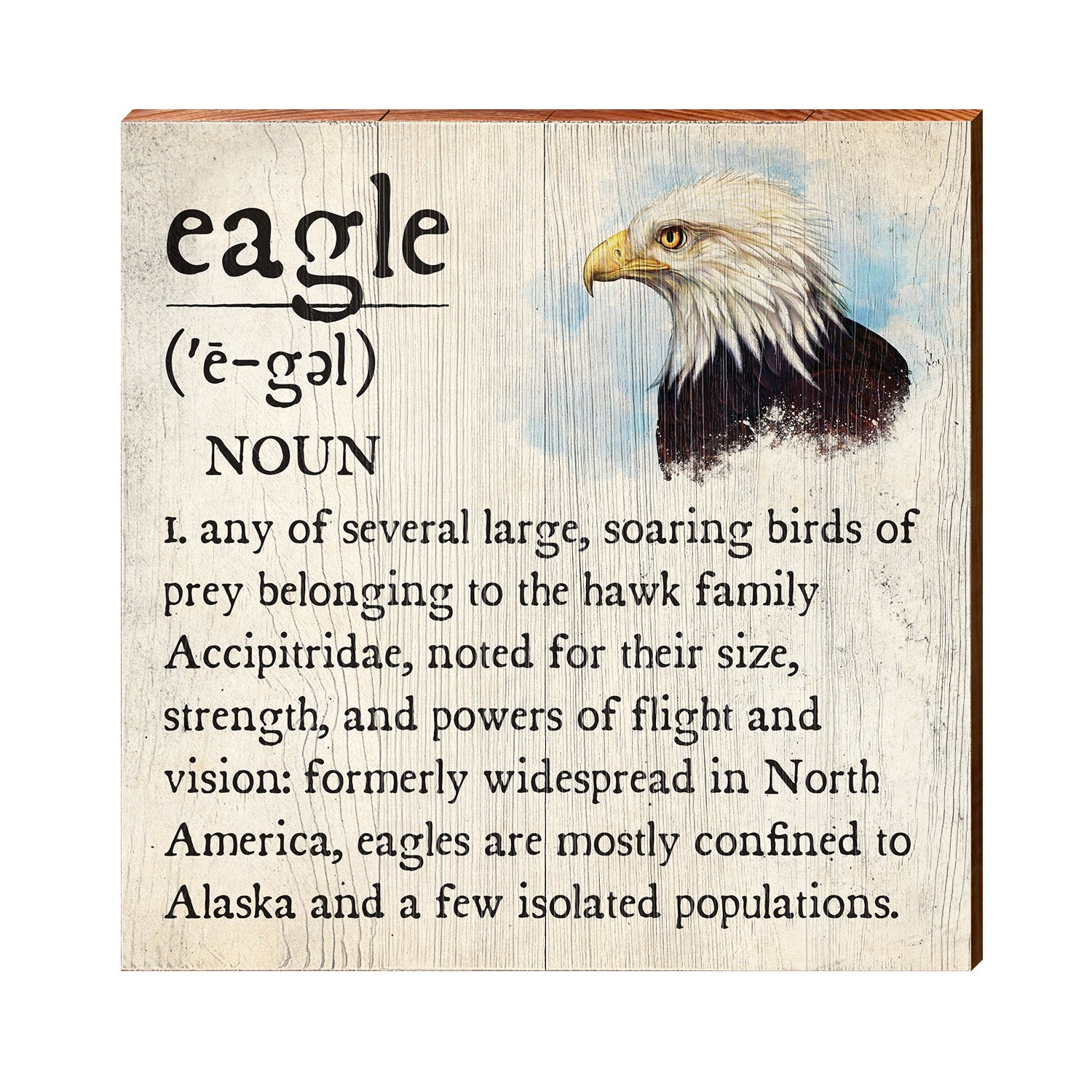 Eagle Definition Wooden Sign | Wall Art Print on Real Wood