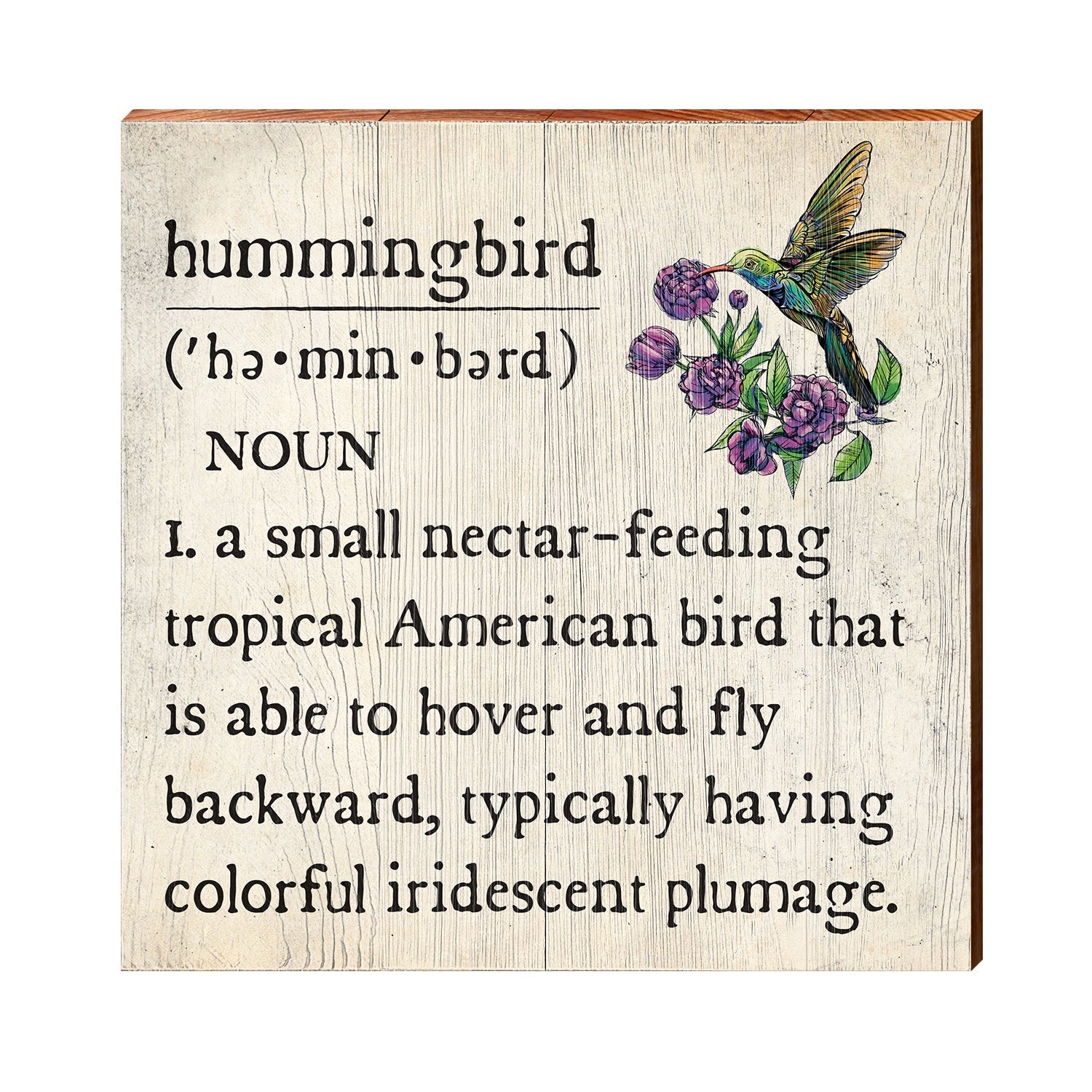 Hummingbird Definition Wooden Sign | Wall Art Print on Real Wood