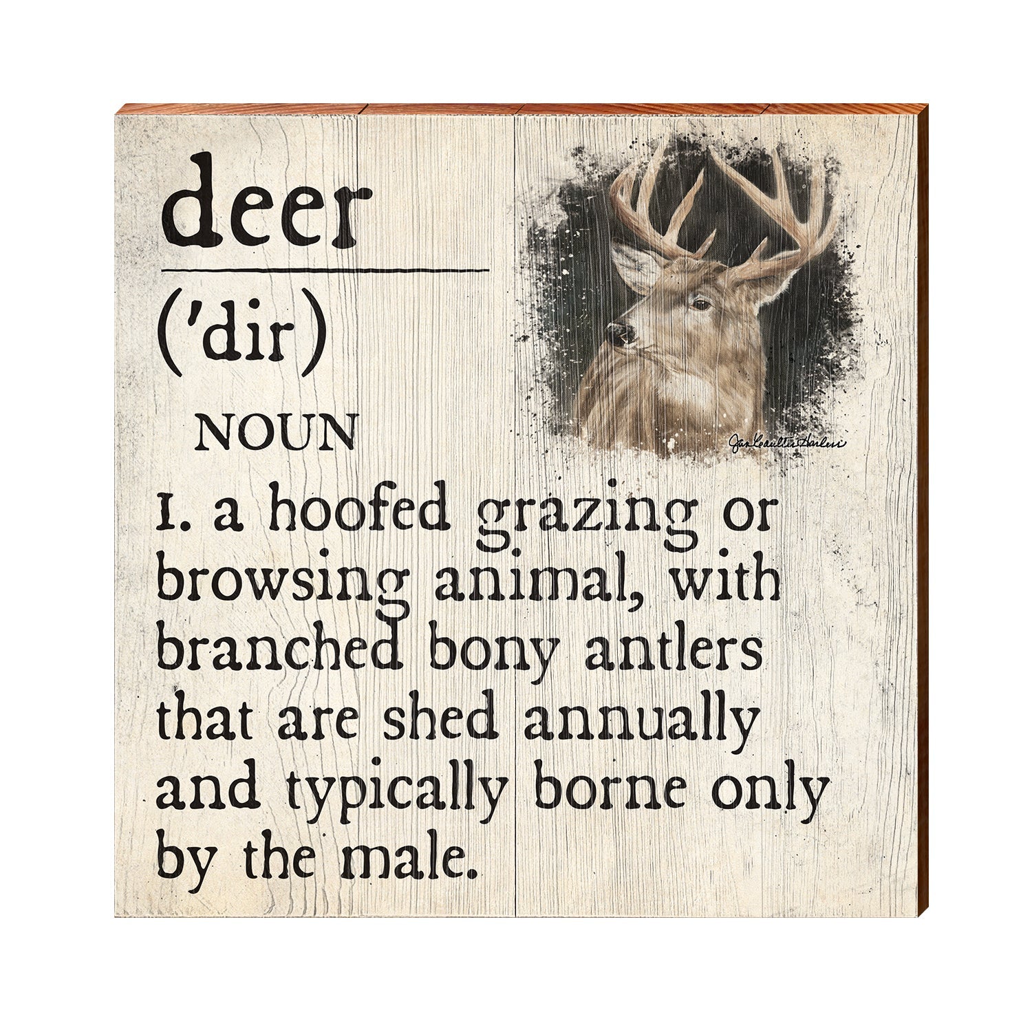 Deer Definition Wooden Sign | Wall Art Print on Real Wood | Mountain C