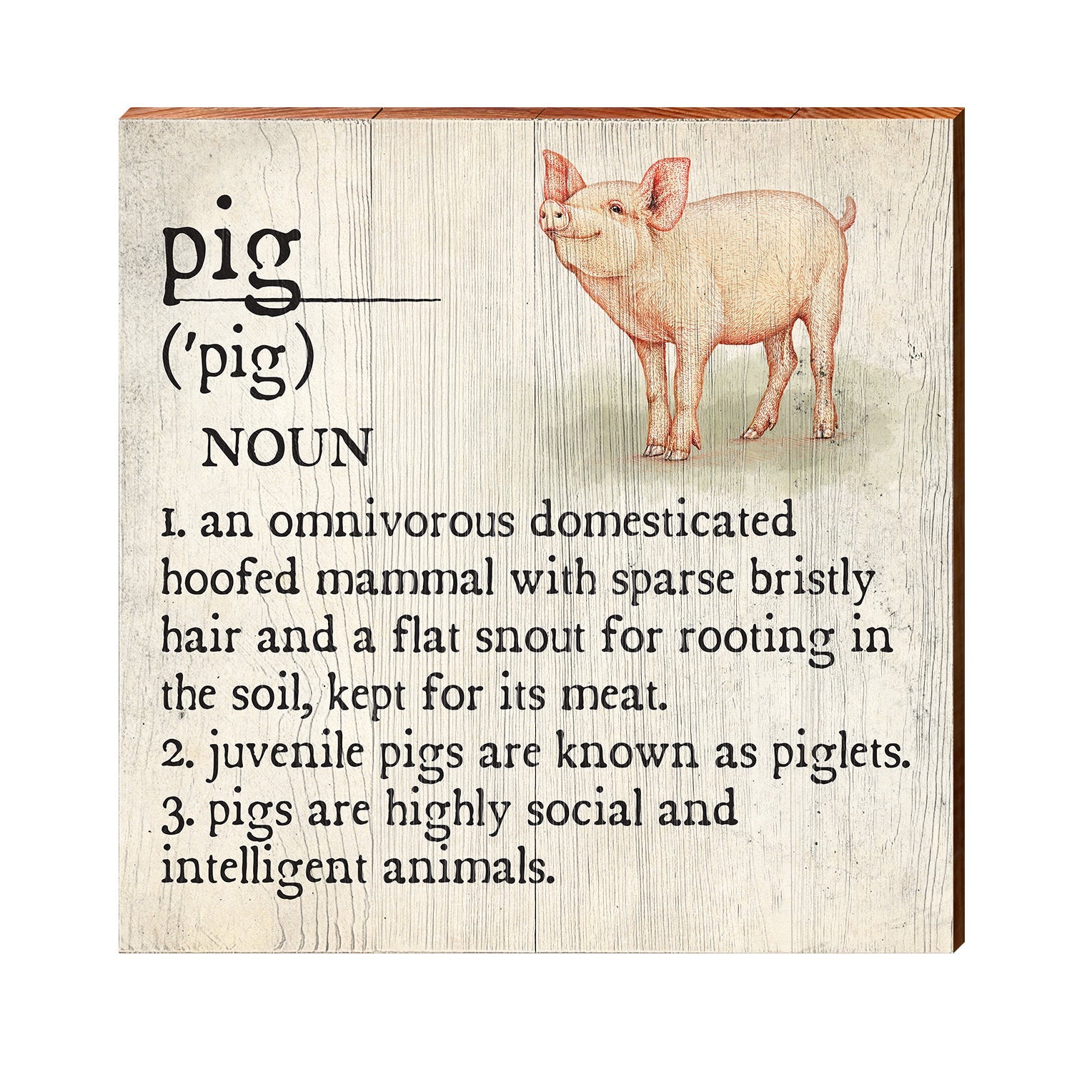Pig Definition Wooden Sign | Wall Art Print on Real Wood | Farmhouse C