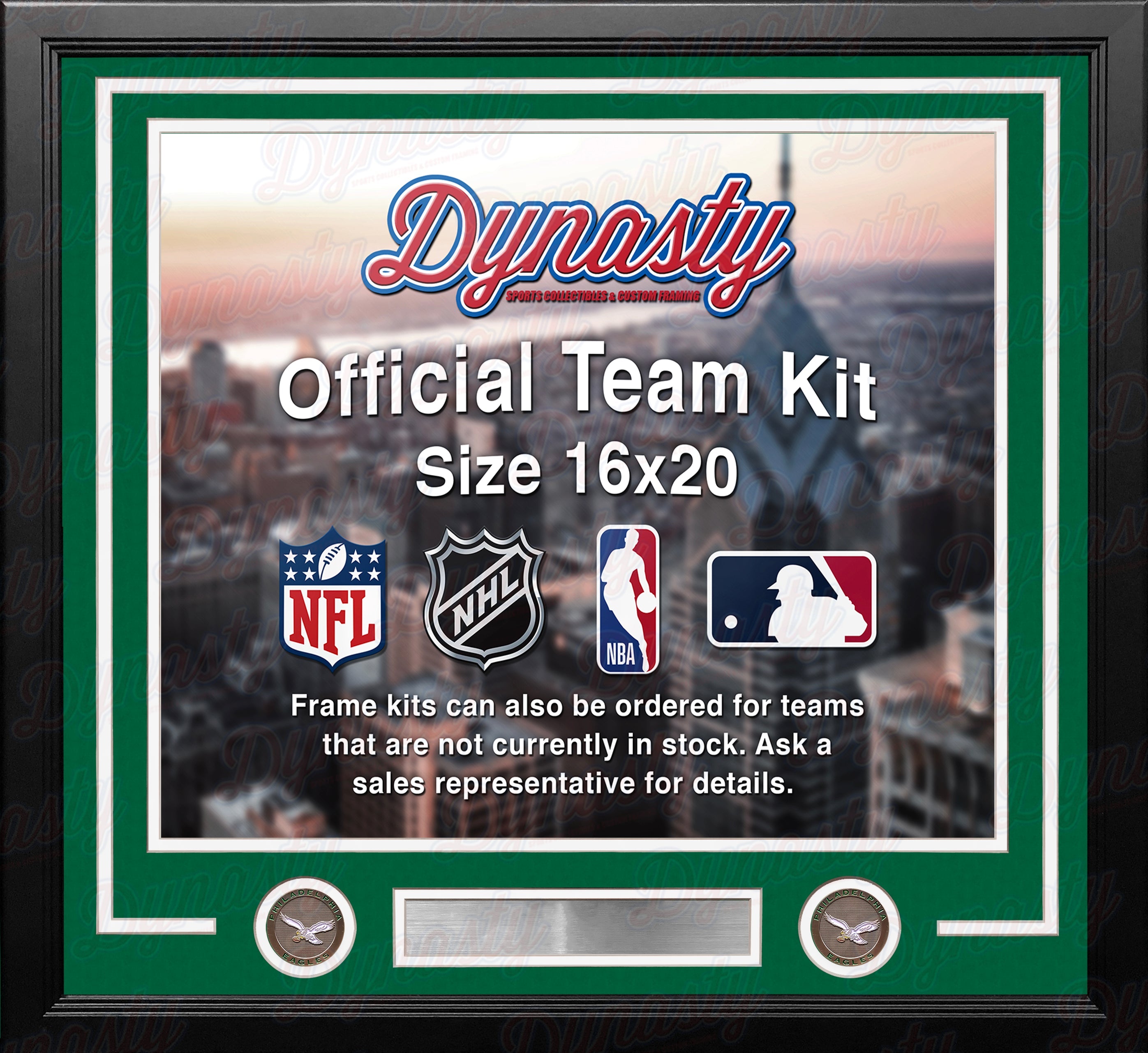 Philadelphia Eagles Throwback Custom NFL Football 16x20 Picture Frame