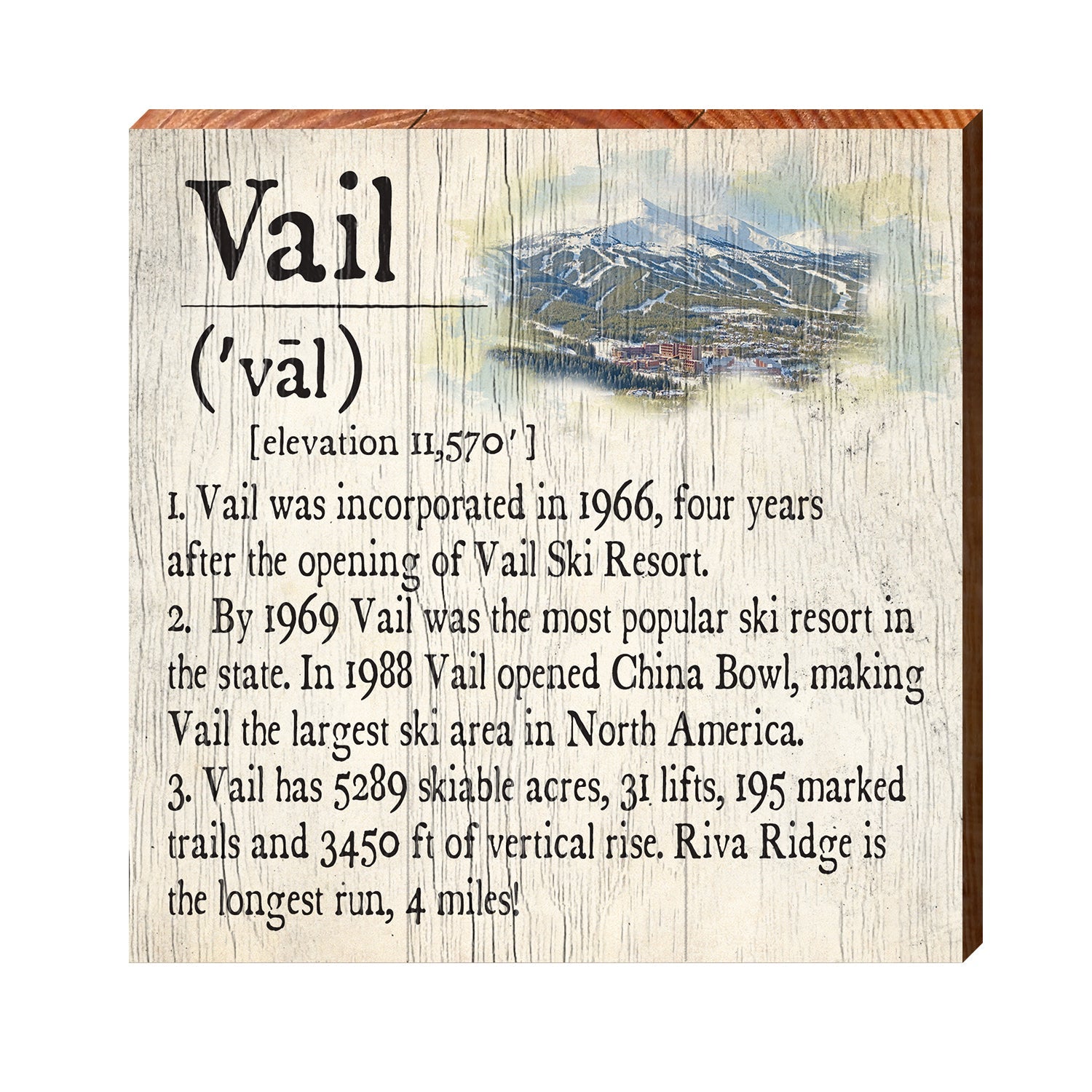 Vail Definition | Real Wood Art Print