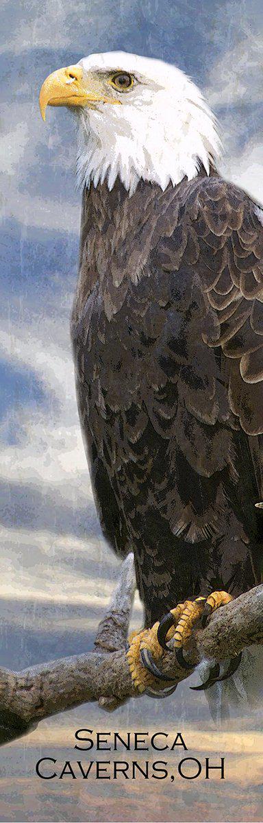 Seneca Caverns, OH Bald Eagle | Wall Art Print on Real Wood