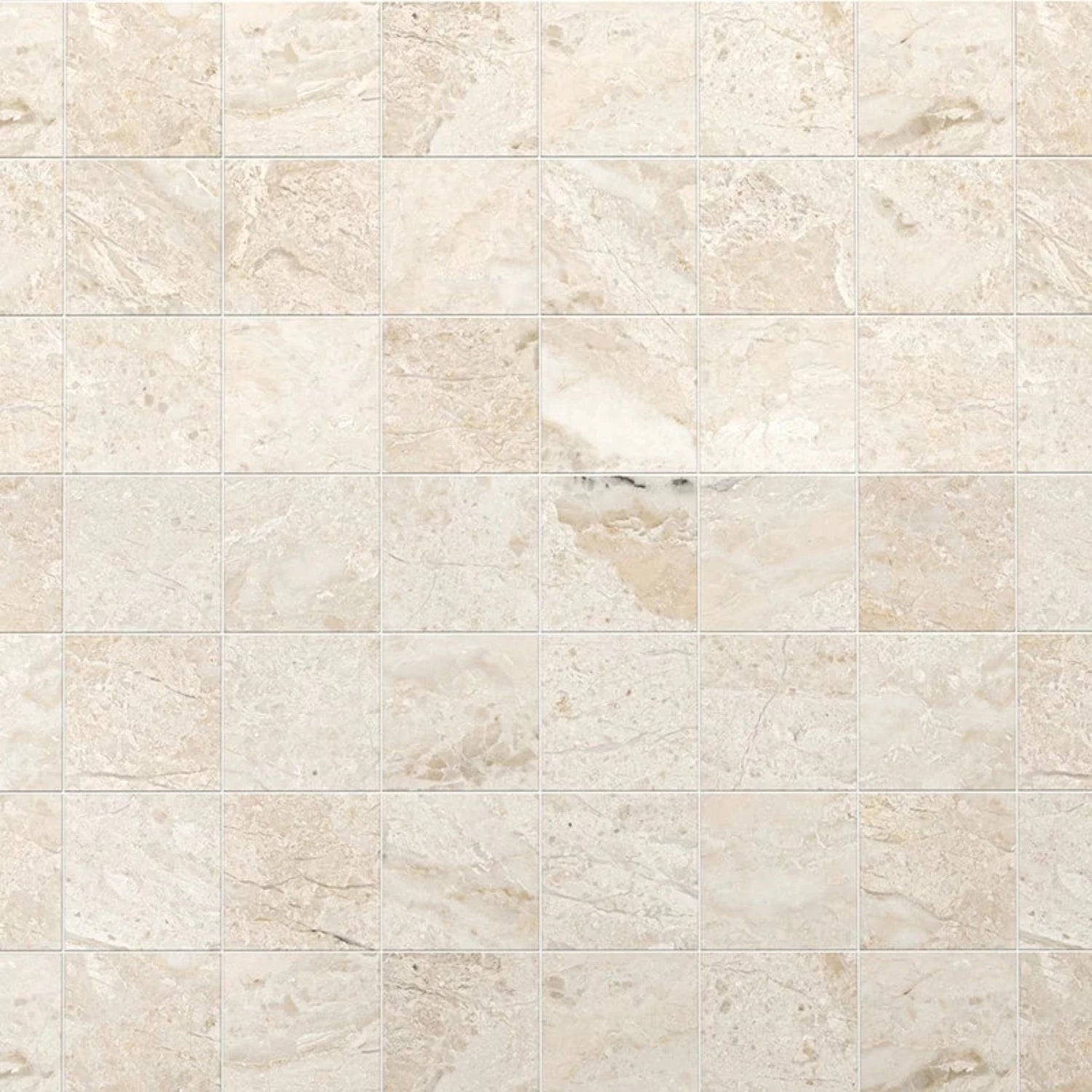 Royal Honed 5 1/2"x5 1/2" Marble Tiles