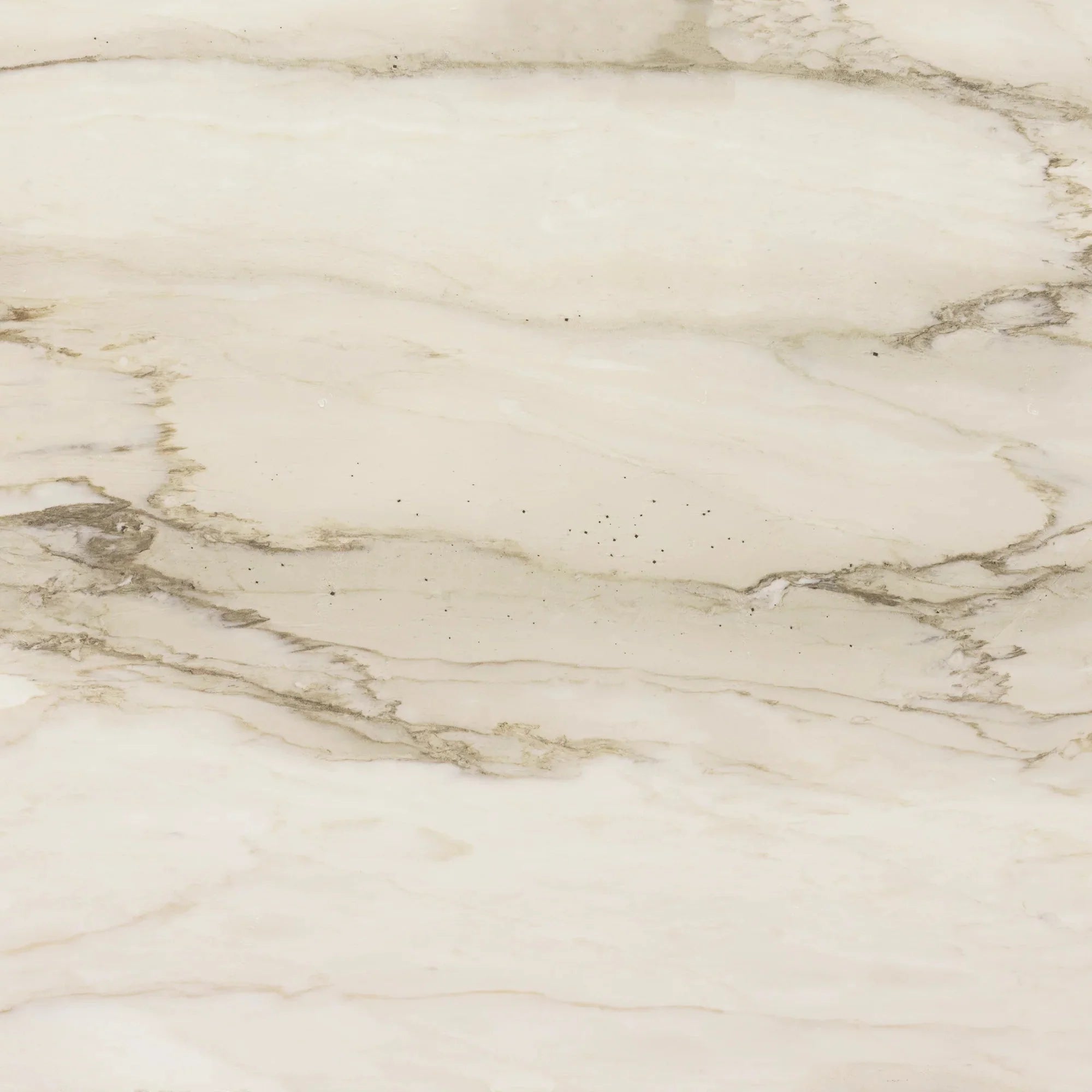 Calacatta Crema Delicato Marble