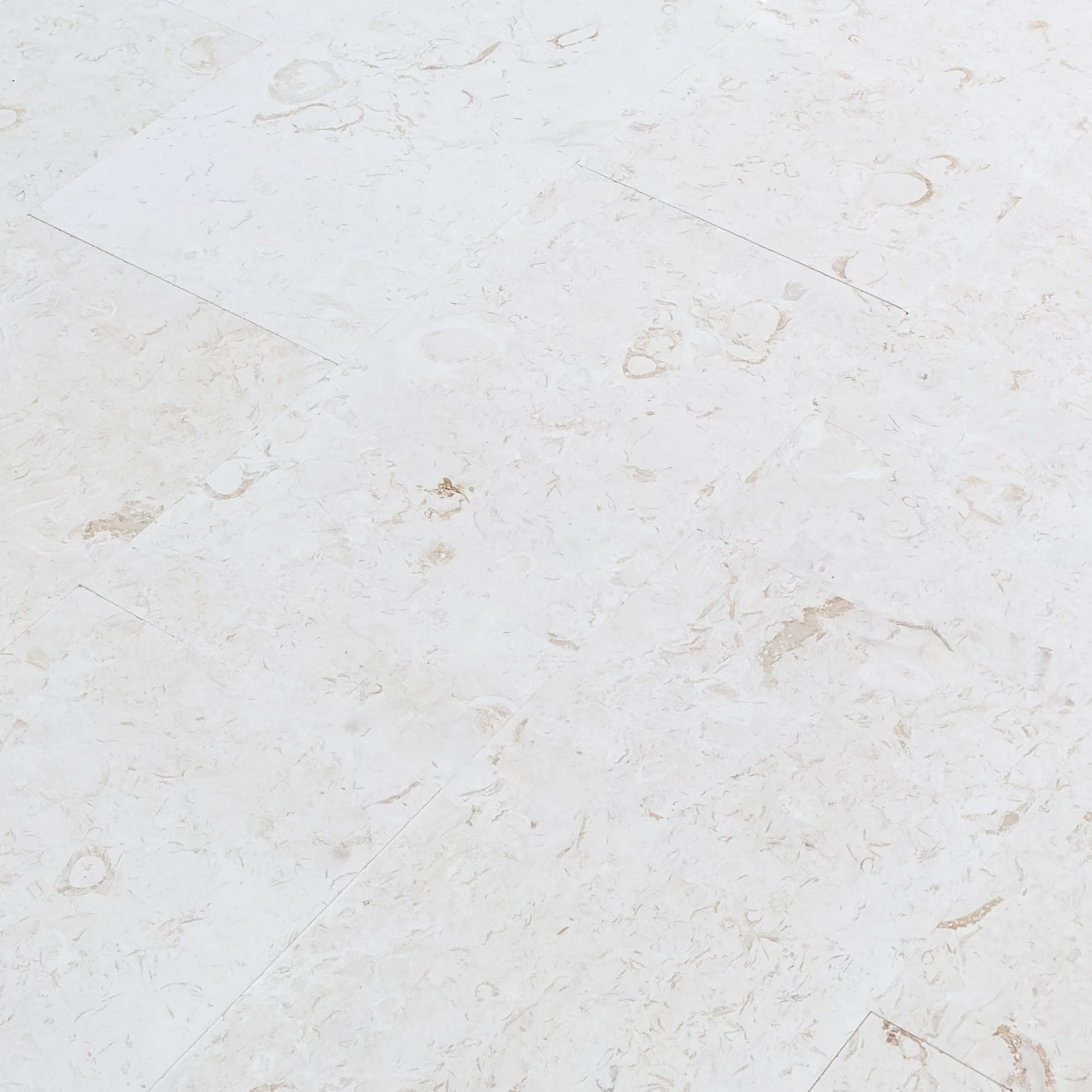 Shell Stone White Limestone Tiles 12"x24" Floor and Wall Tile - Belair