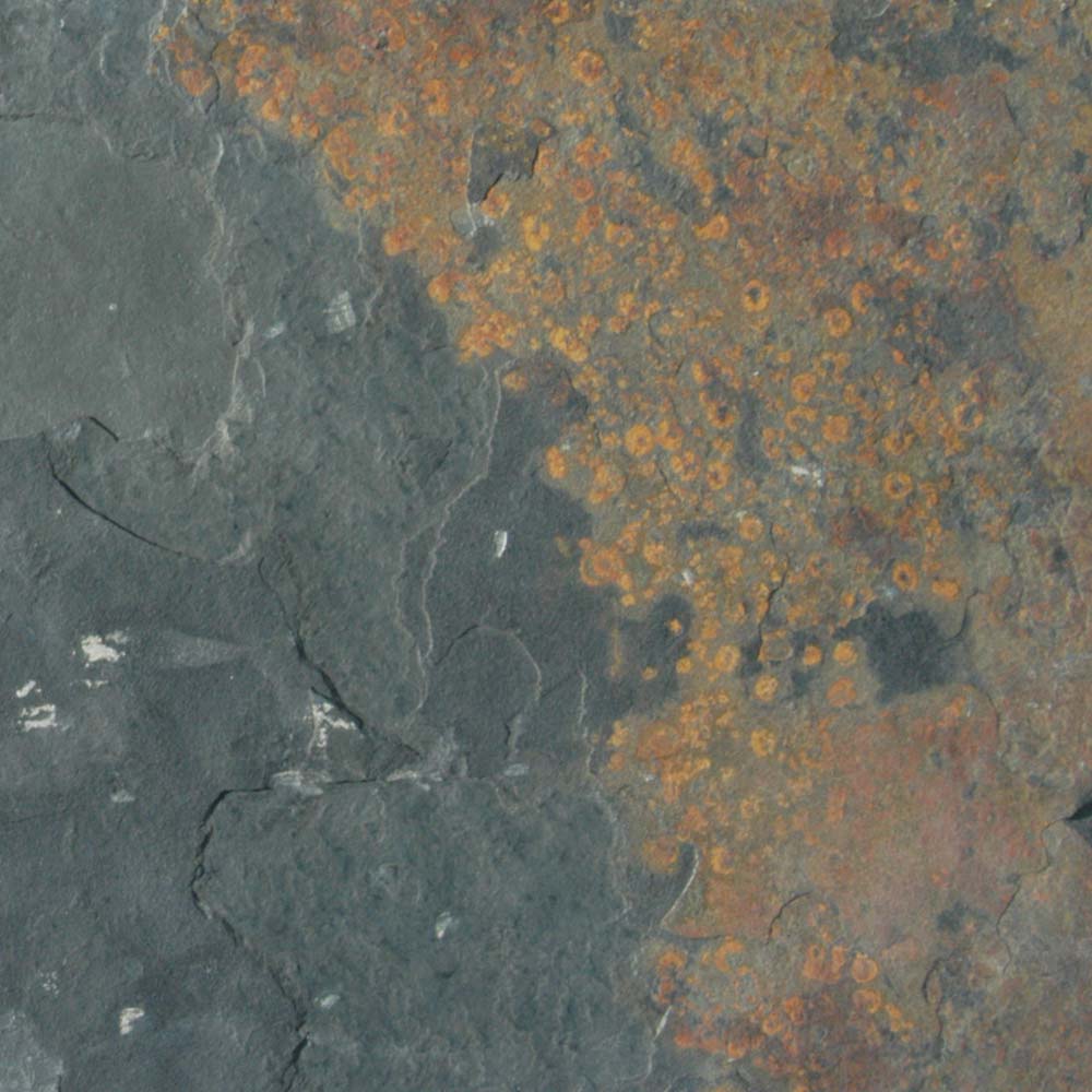 MSI California Gold Gauged Slate Tile