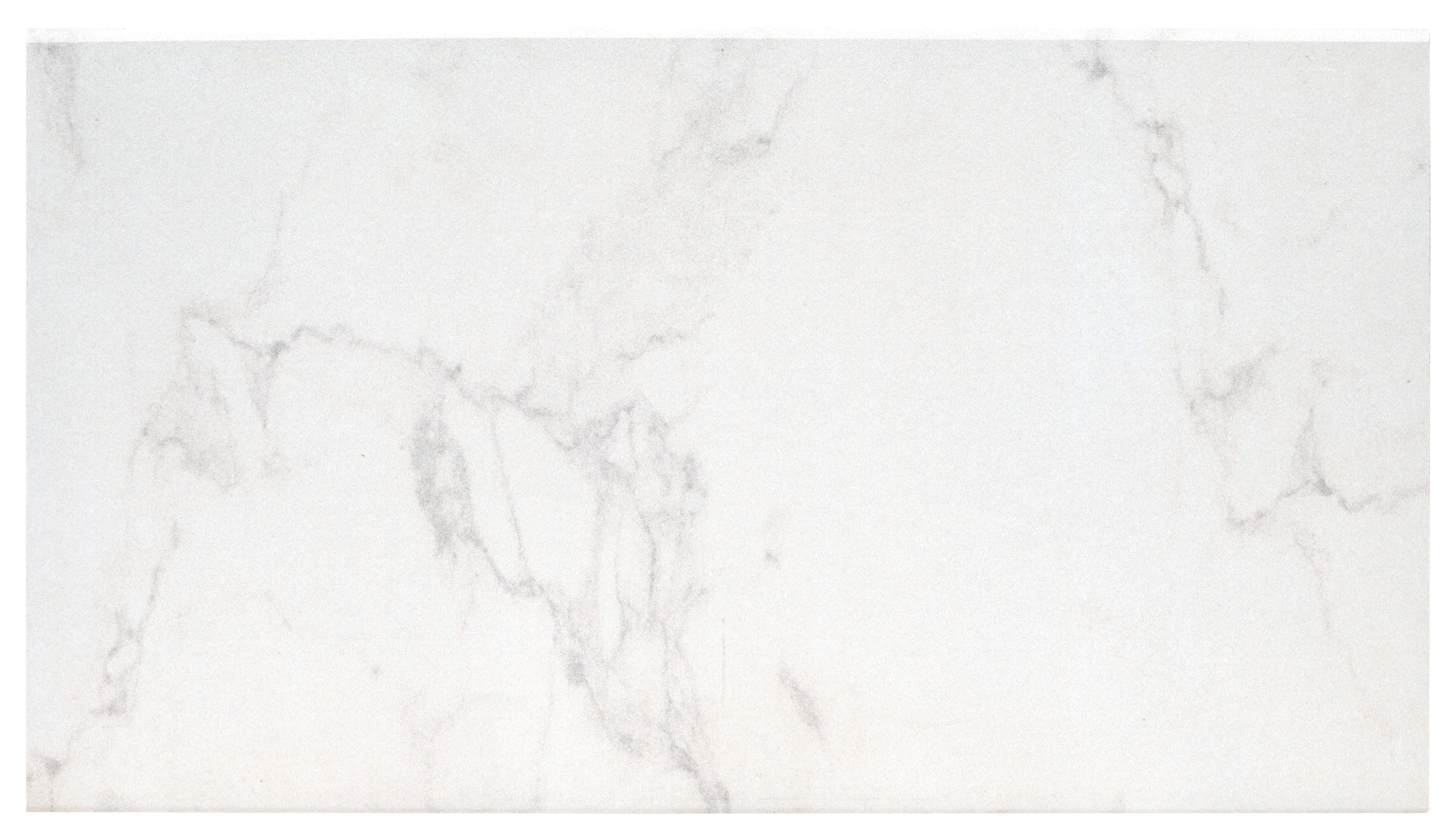 MSI Praia Carrara 13"x24" Matte Porcelain Pool Coping