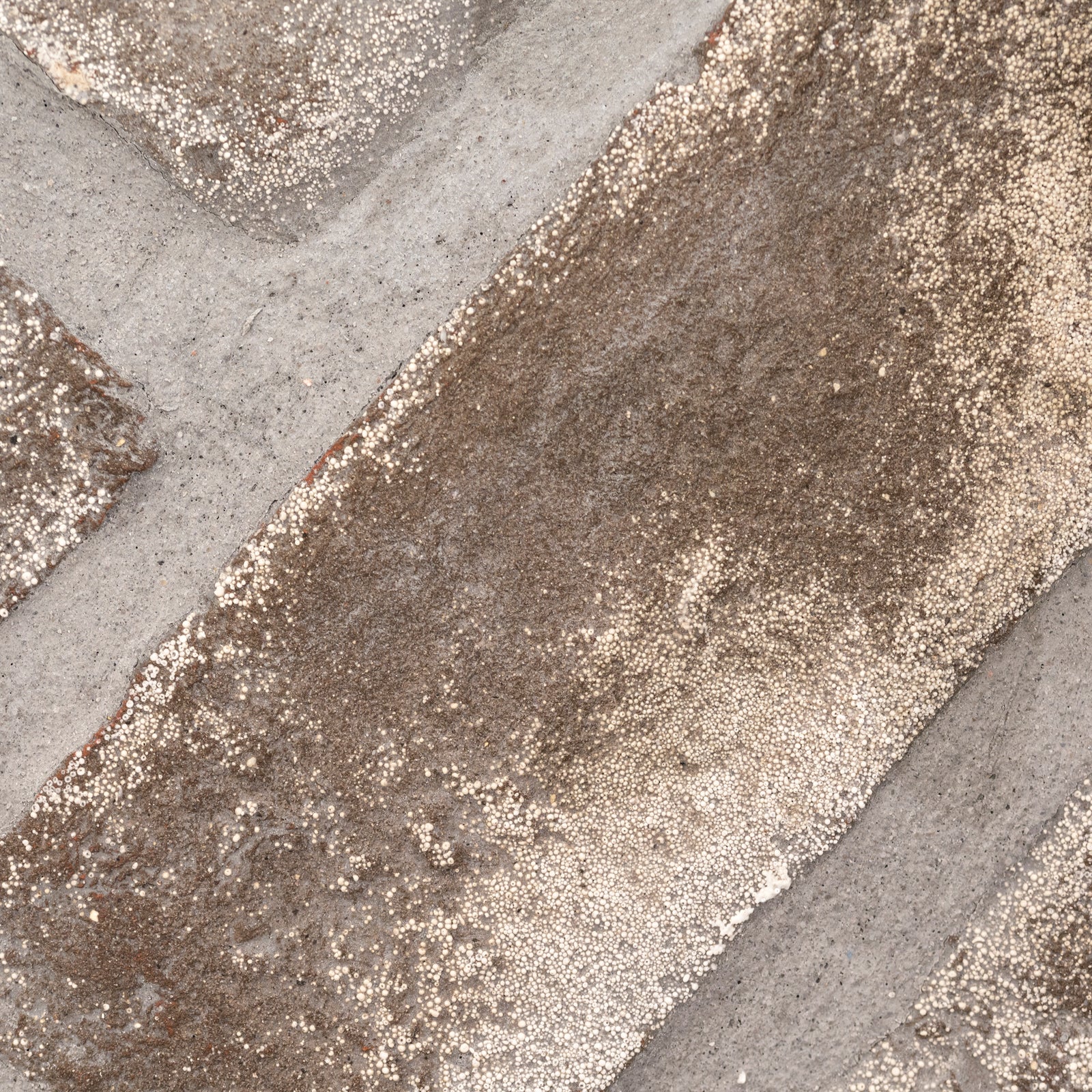 MSI Doverton Gray 12.5"x25.5" Clay Brick Herringbone Mosaic Tile