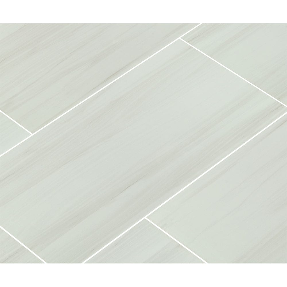 MSI Eden Dolomite Porcelain Floor and Wall Tile Polished
